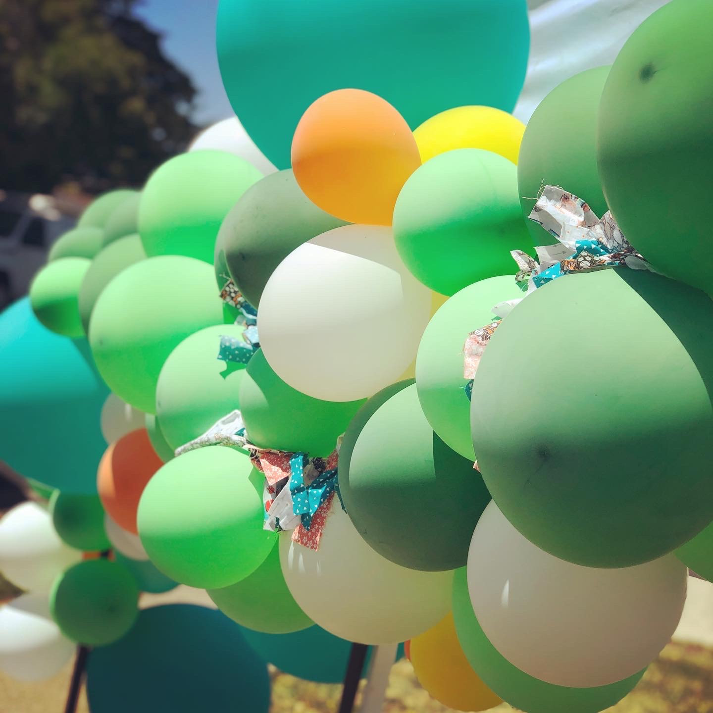 balloons & more - 38north design co