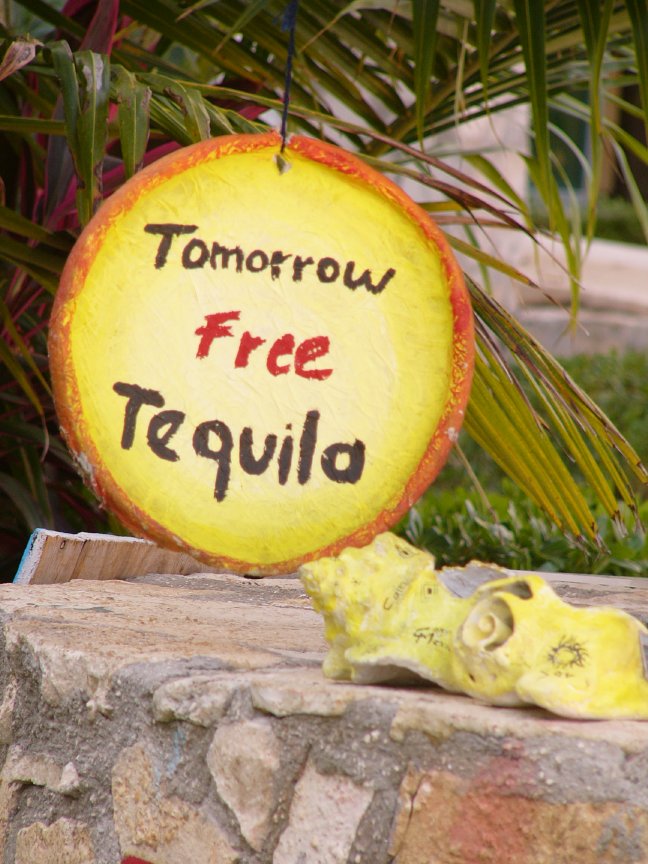 Contact Us - photography by cindy graul