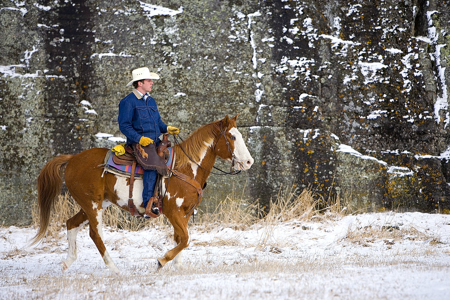 Cowboys & more - Jim Zuckerman photography & photo tours
