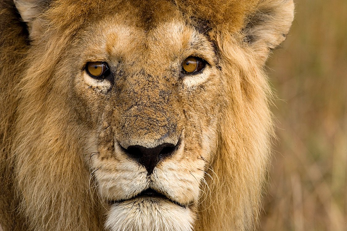 The Natural World - Jim Zuckerman photography & photo tours