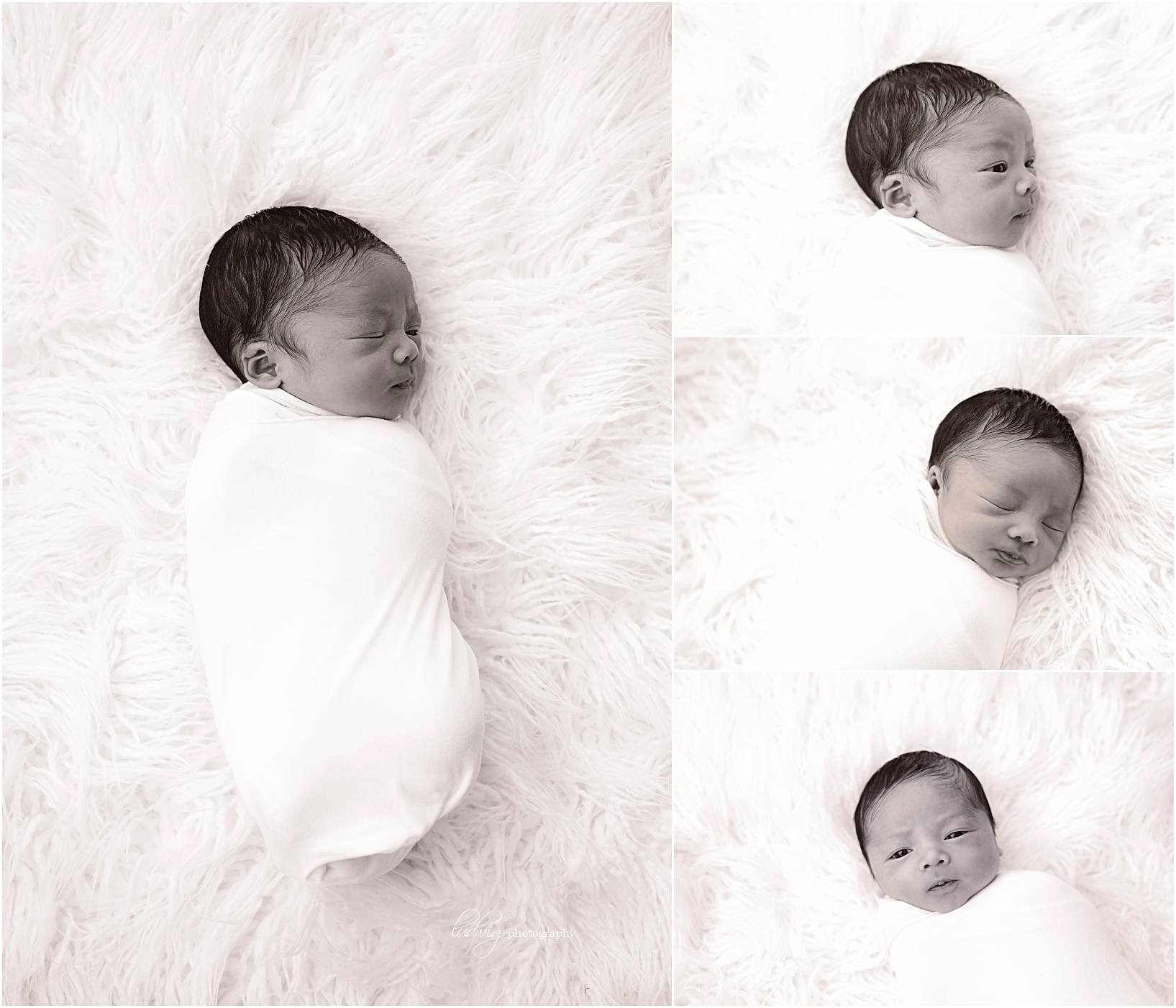 Newborn studio session - Ludwig Photography