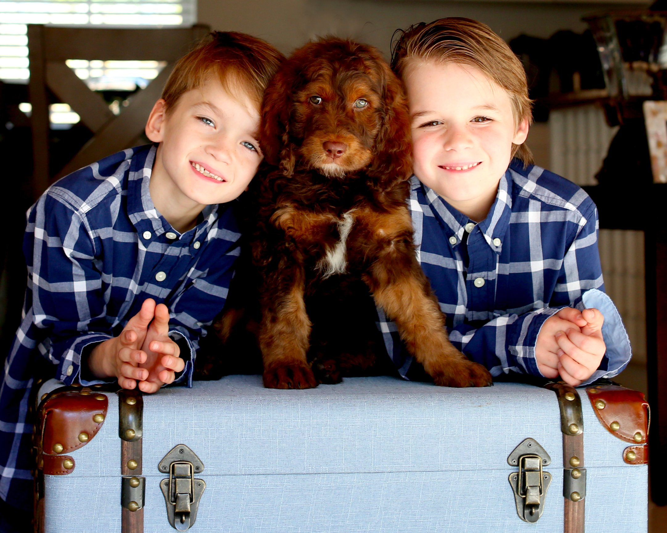 Boys and Their Dog - Brito Photojournalism & Photography