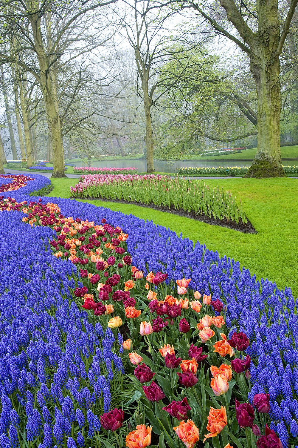 Keukenhof Gardens - Jim Zuckerman photography & photo tours