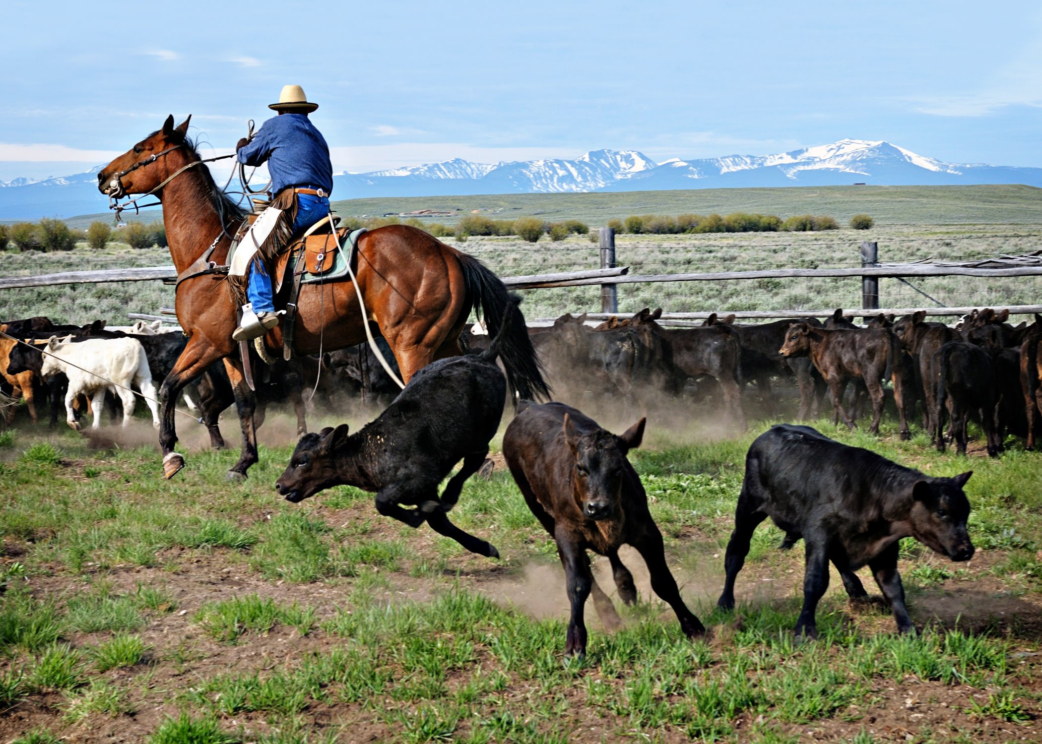 Western Lifestyle Photography in Montana | Cynthia Baldauf Images
