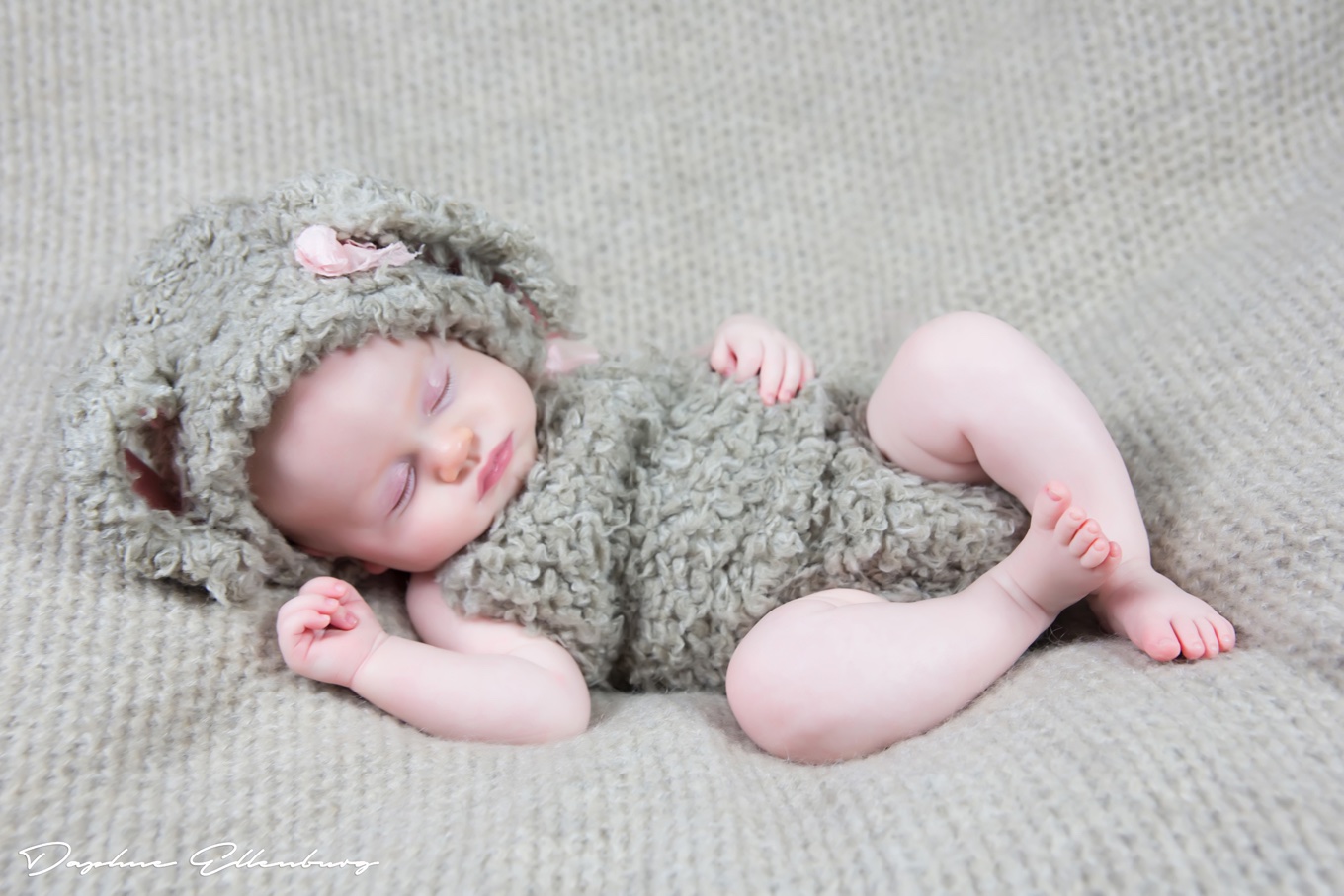 Meet Mabel. - Ellenburg Photography