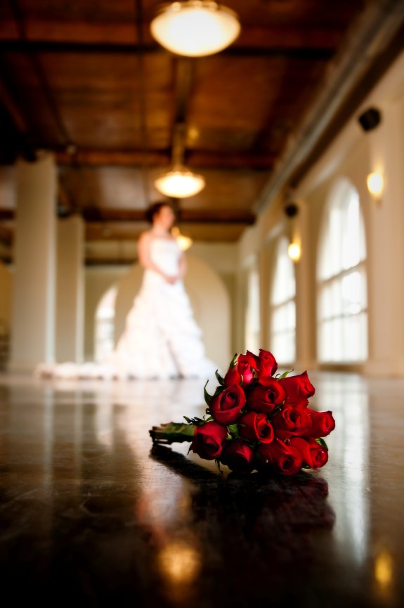 Home - Picture Perfect Photography