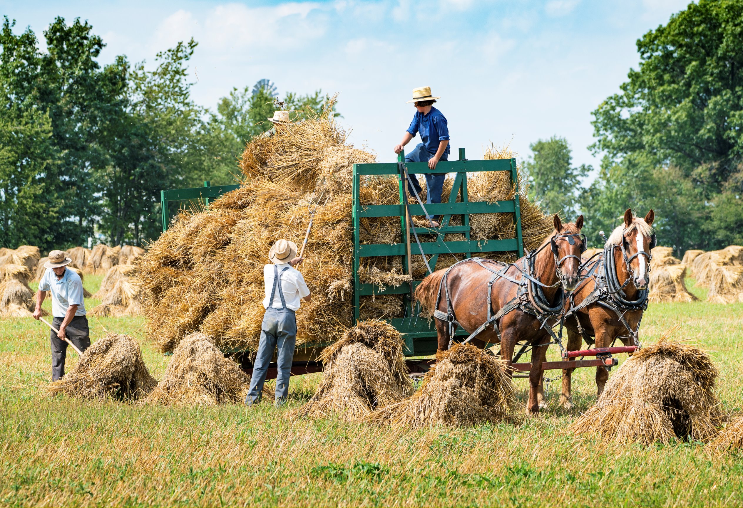 Western Lifestyle Photography in Montana | Cynthia Baldauf Images