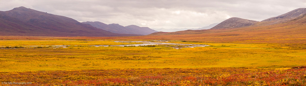 Arctic Alaska: Brooks Range and the North Slope - Taz Tally Photography