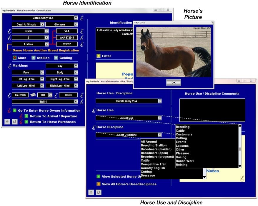 Why Track, Manage and Communicate Your Horse’s Nutrition? - Equine ...