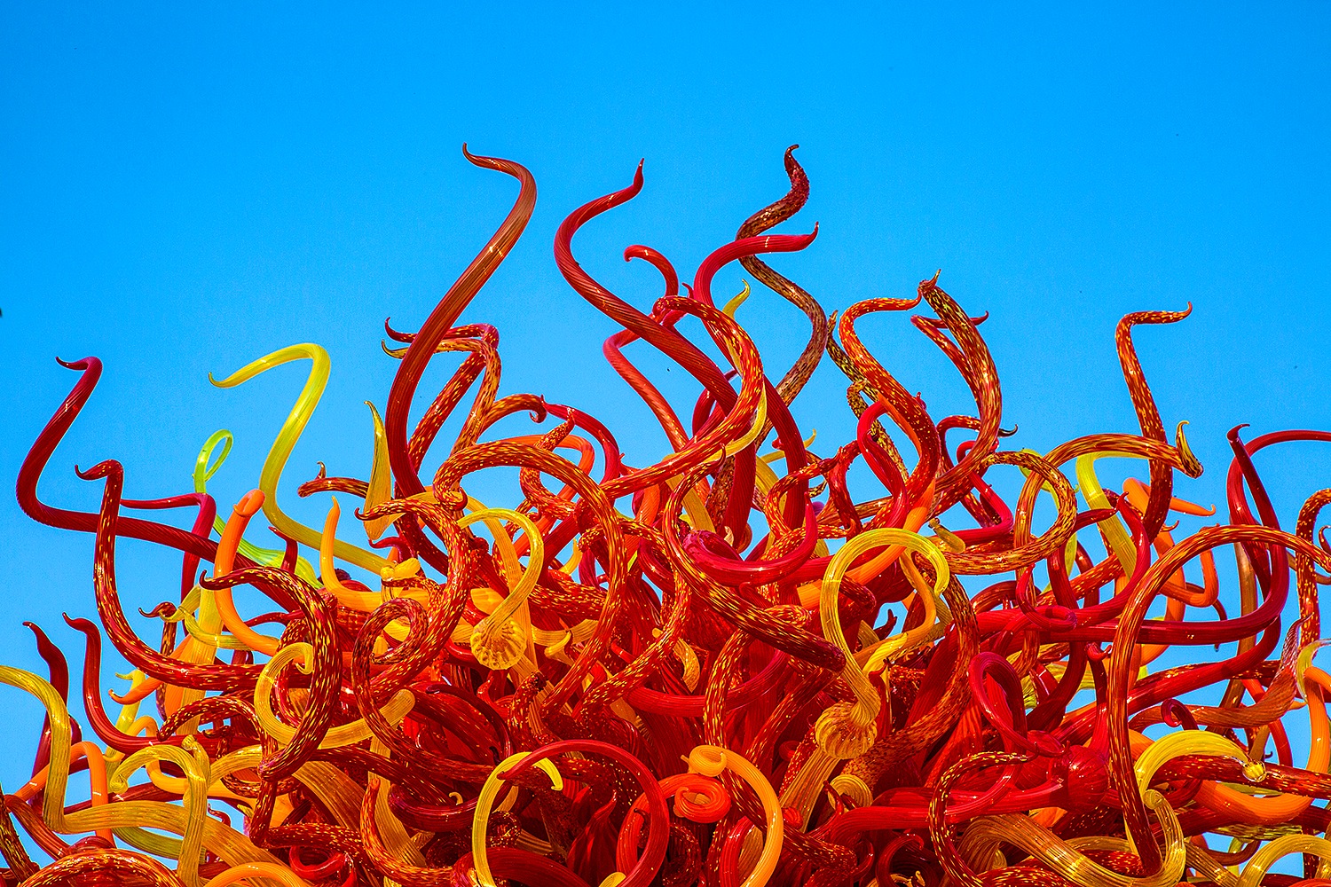 Chihuly glass - Jim Zuckerman photography & photo tours