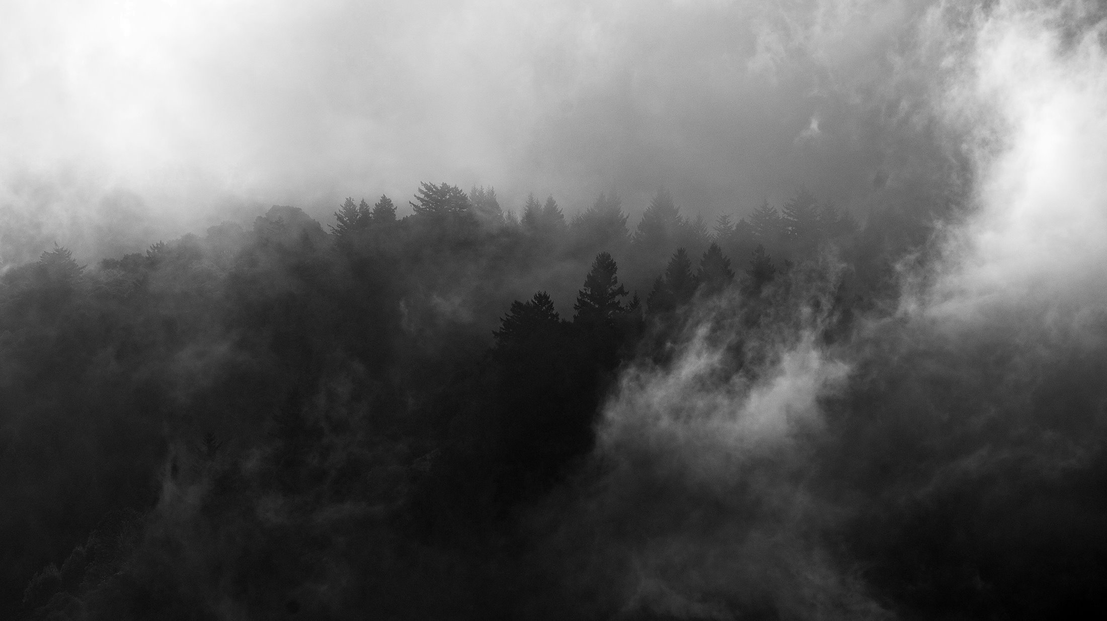 Artist- Eric Wiles Photography