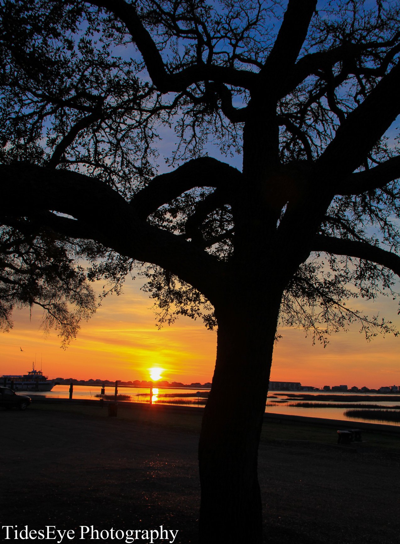 LANDSCAPES/NATURE - Tides Eye Photography