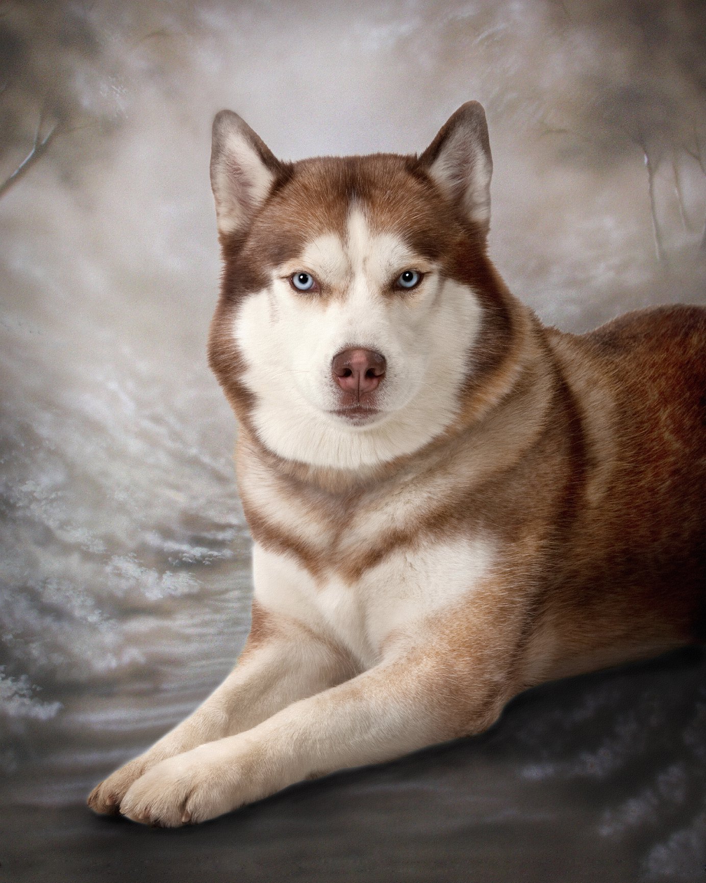 Sebastian Portraits | Rhode Island