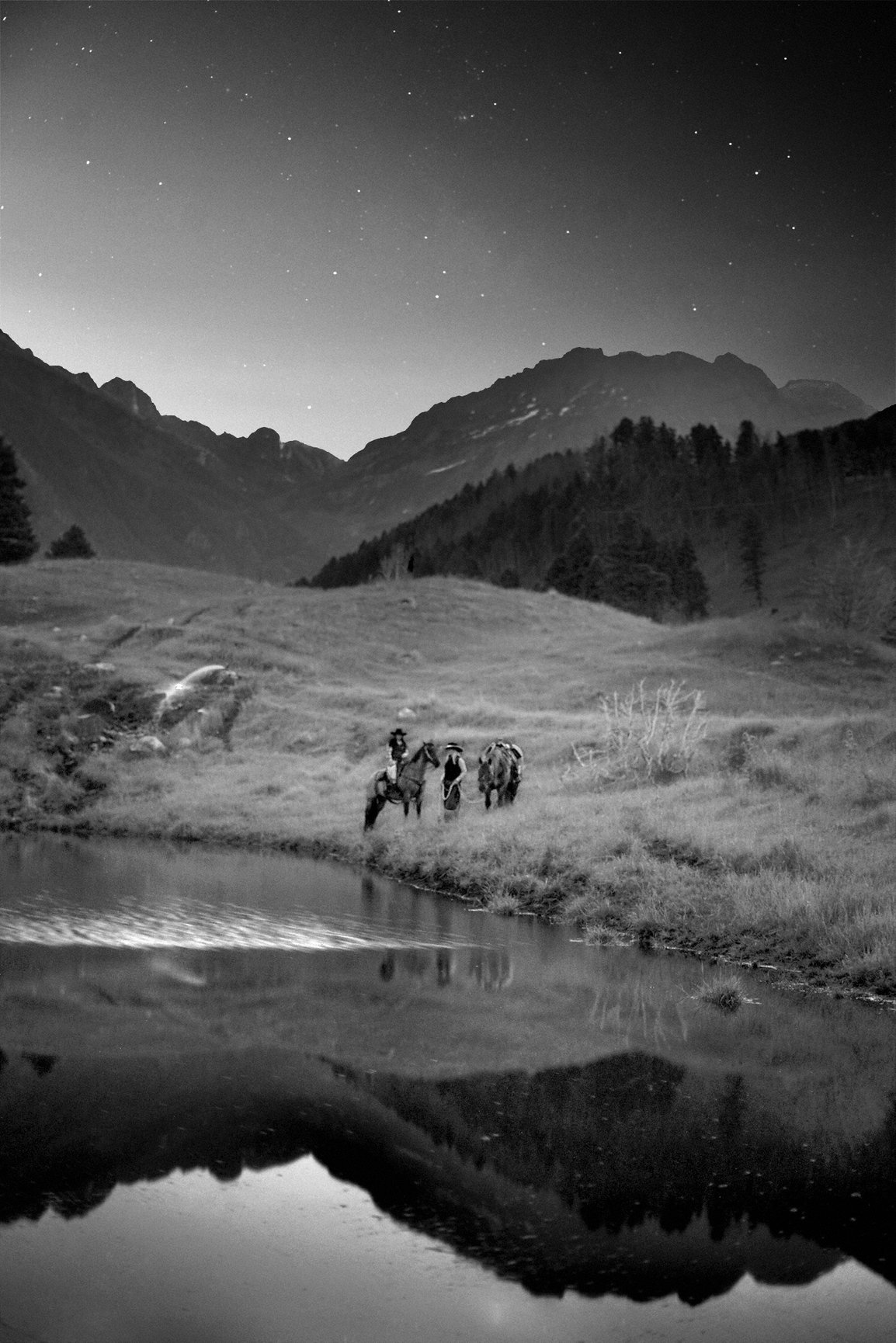 WOMEN & HORSES - Barbara Van Cleve