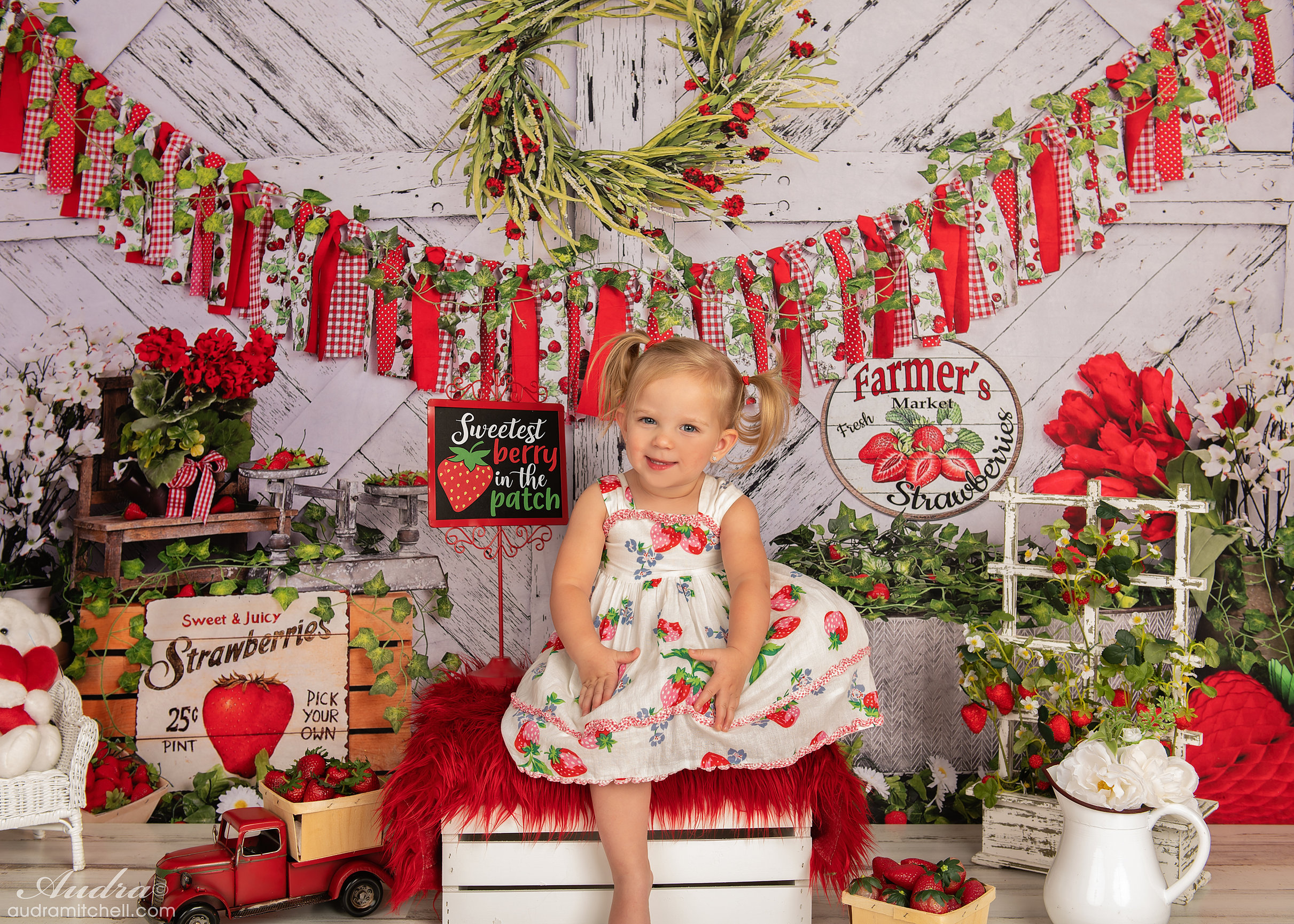 Sample Strawberry Photos - Audra Mitchell Photography