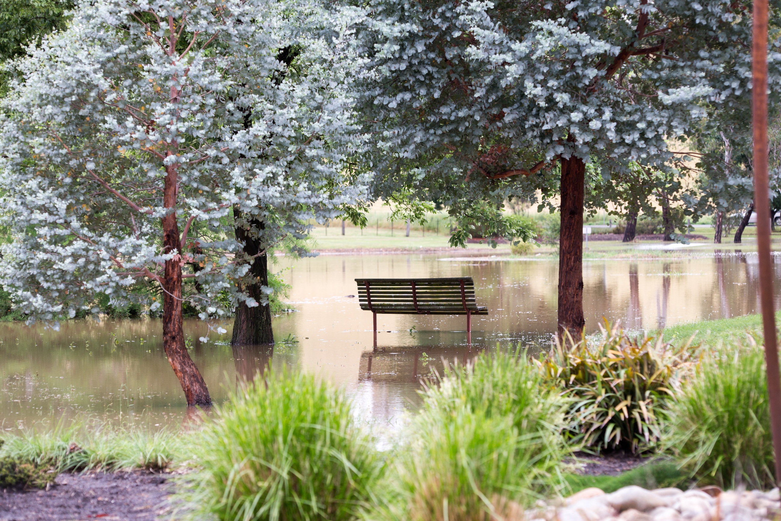 Family Photography - Mansfield Botanic Park - sandra lee photography