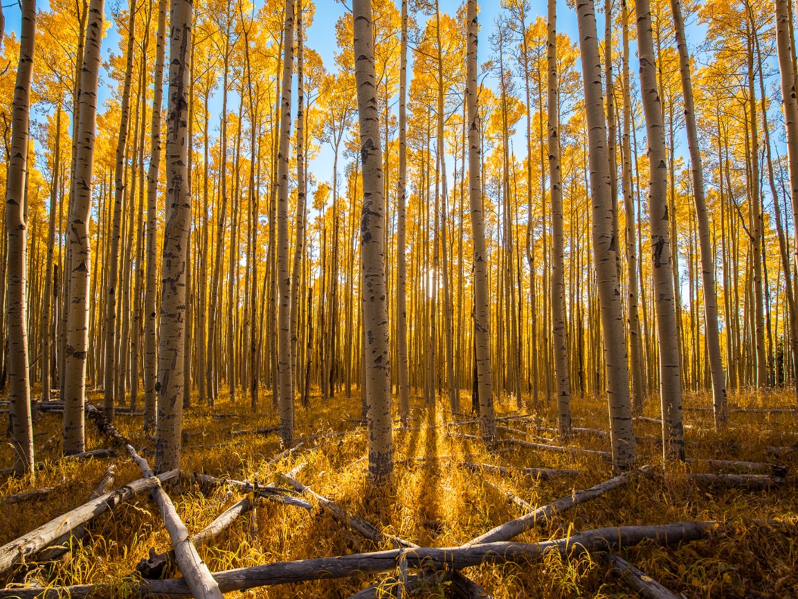 Greeting Cards | Dham Khalsa Photography | Santa Fe