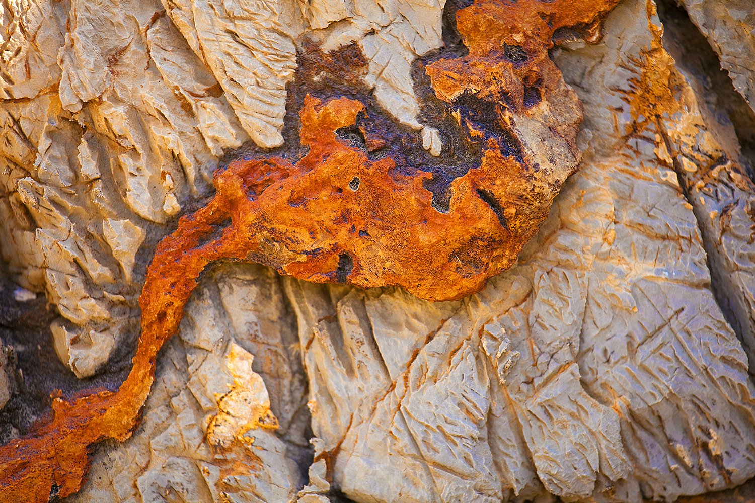 Patterns of Nature - Jim Zuckerman photography & photo tours
