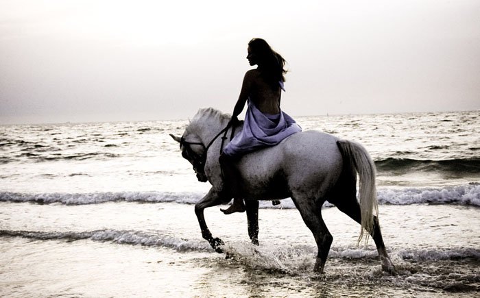 Home - Scott Trees Photography