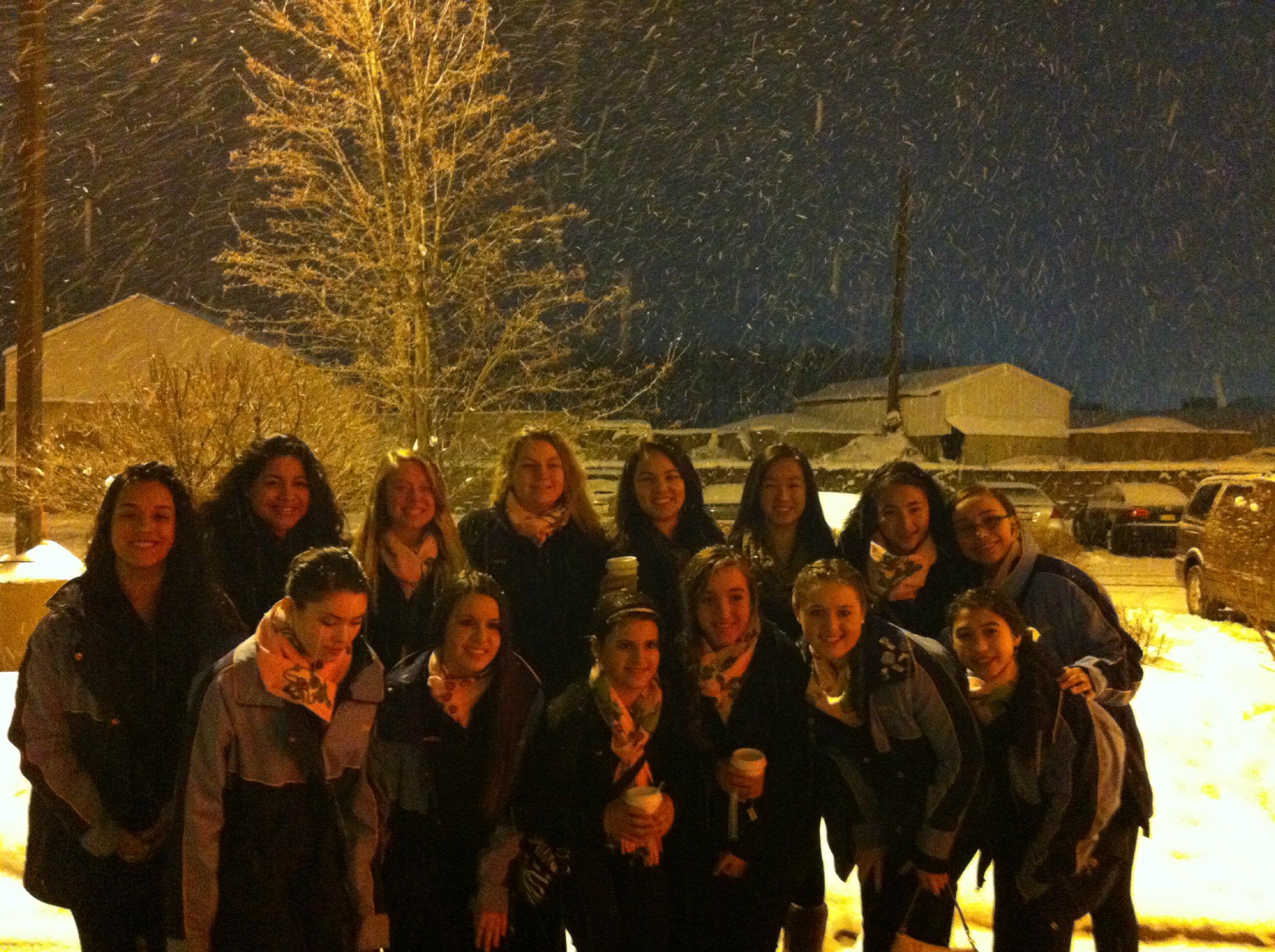 Novice-Intermediate Team - California Gold