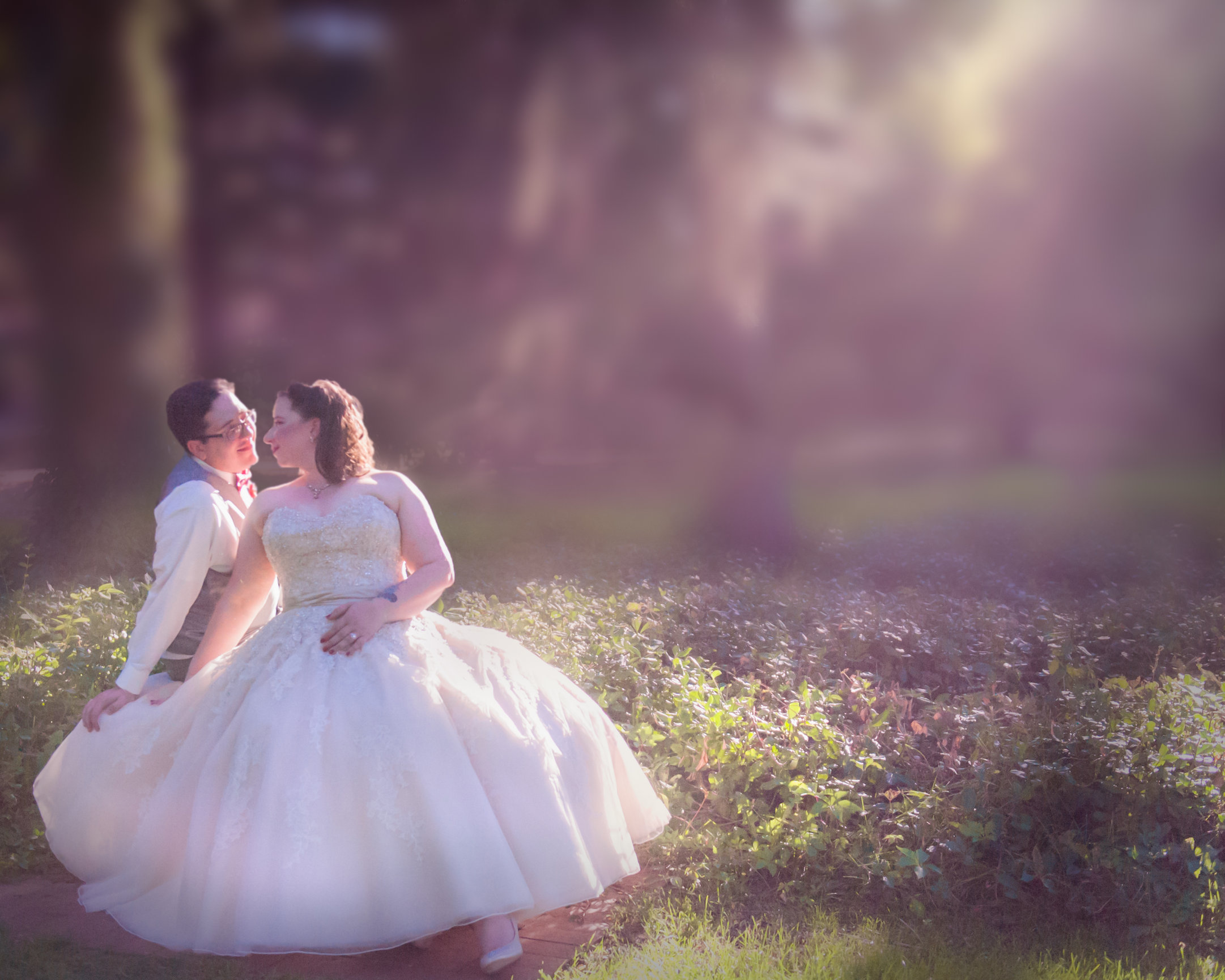 Home - Julie Brokish, photographer