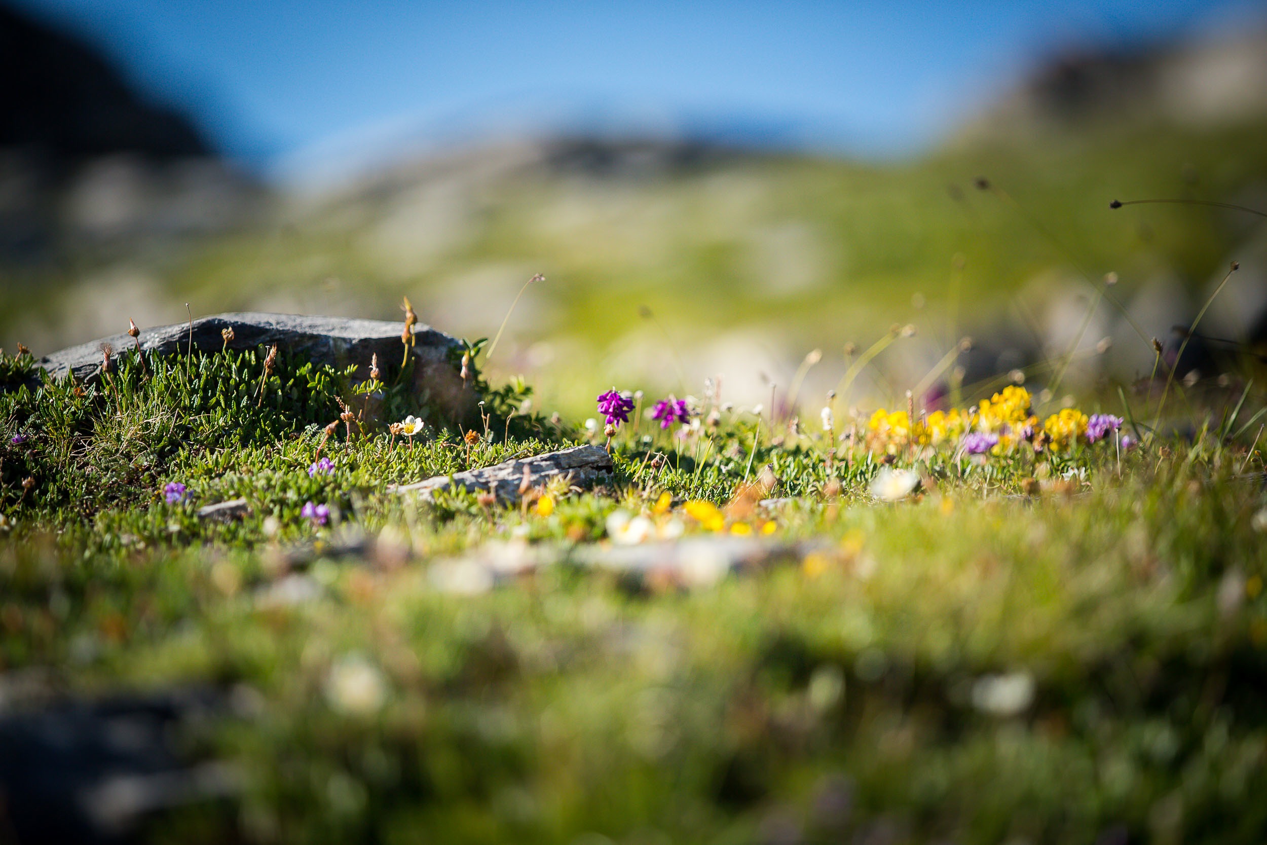 LANDSCAPES - Emo Photo