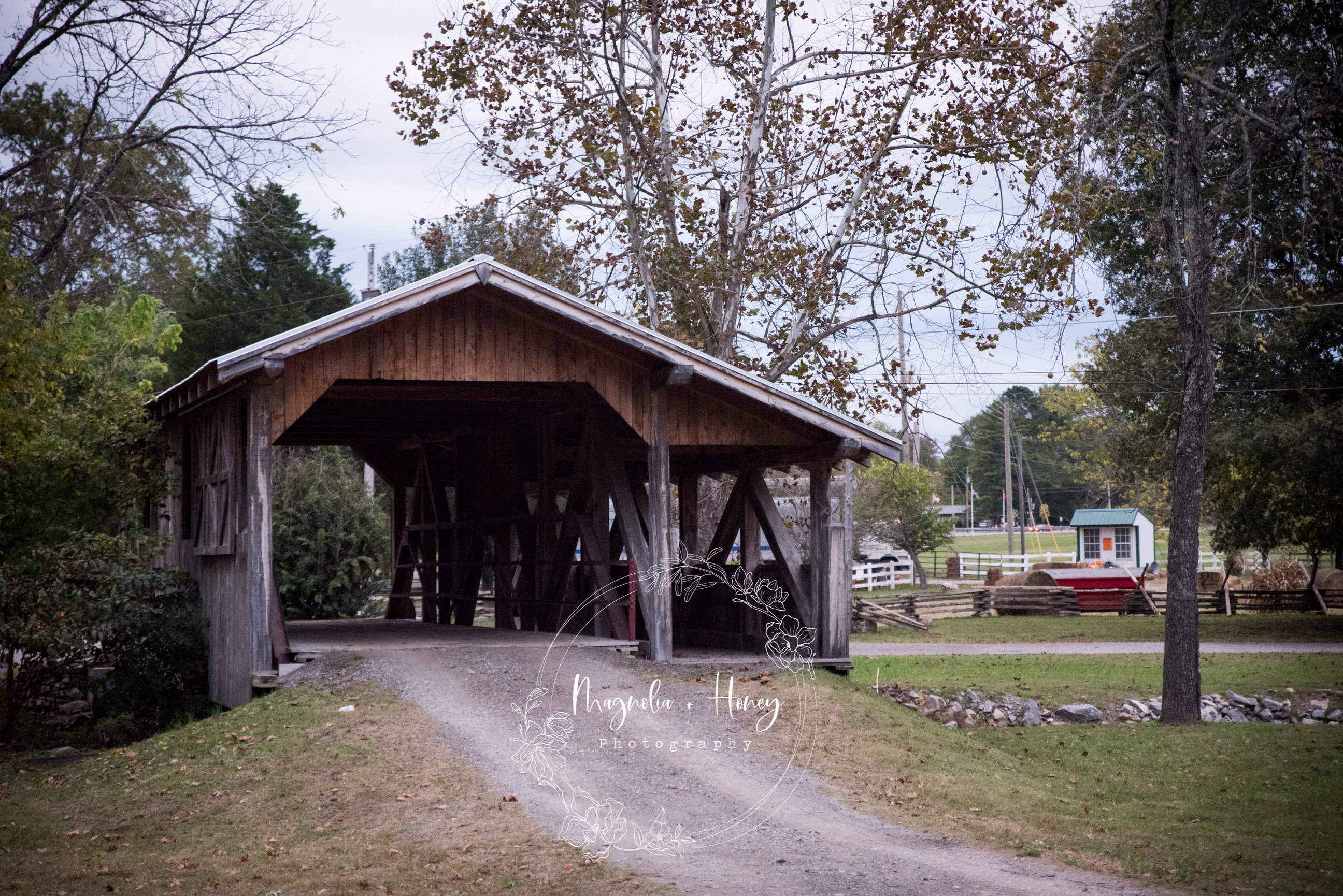 Circle P Ranch Mt. Juliet, Tennessee - Magnolia + Honey Photography
