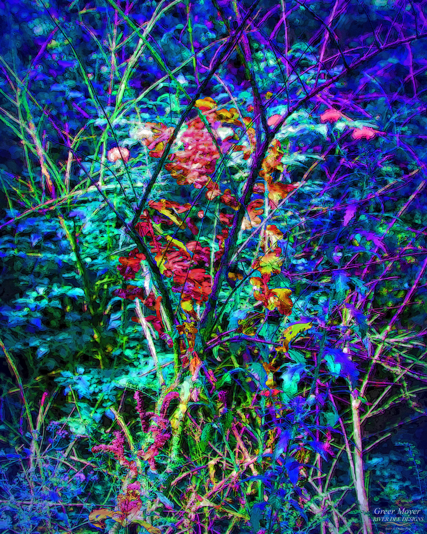 Fine Art Botanical Prints - Catharine A Deever