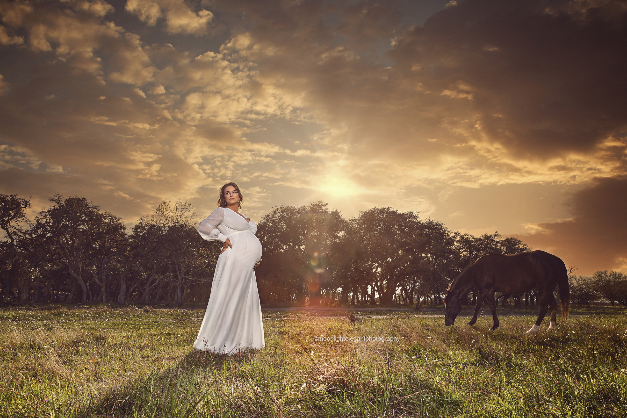 MATERNITY - Moonlight Elegant Photography