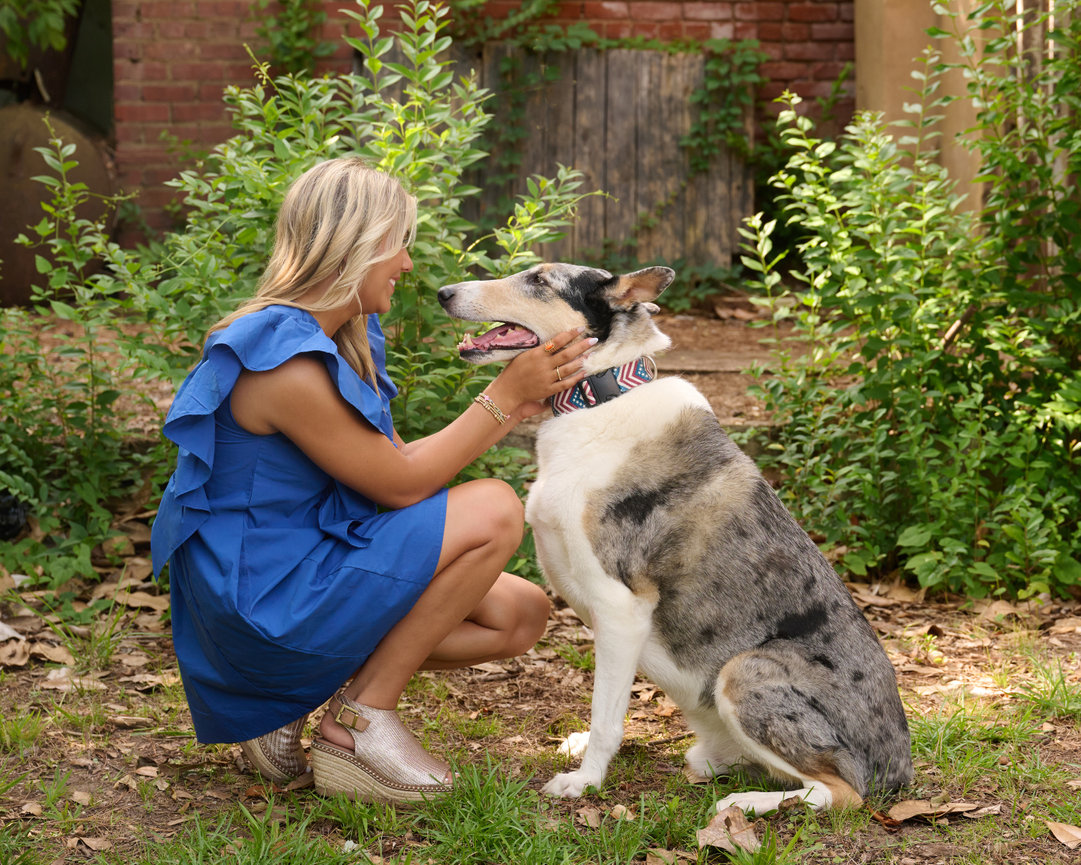 Pet Portraits - Jennifer Collins