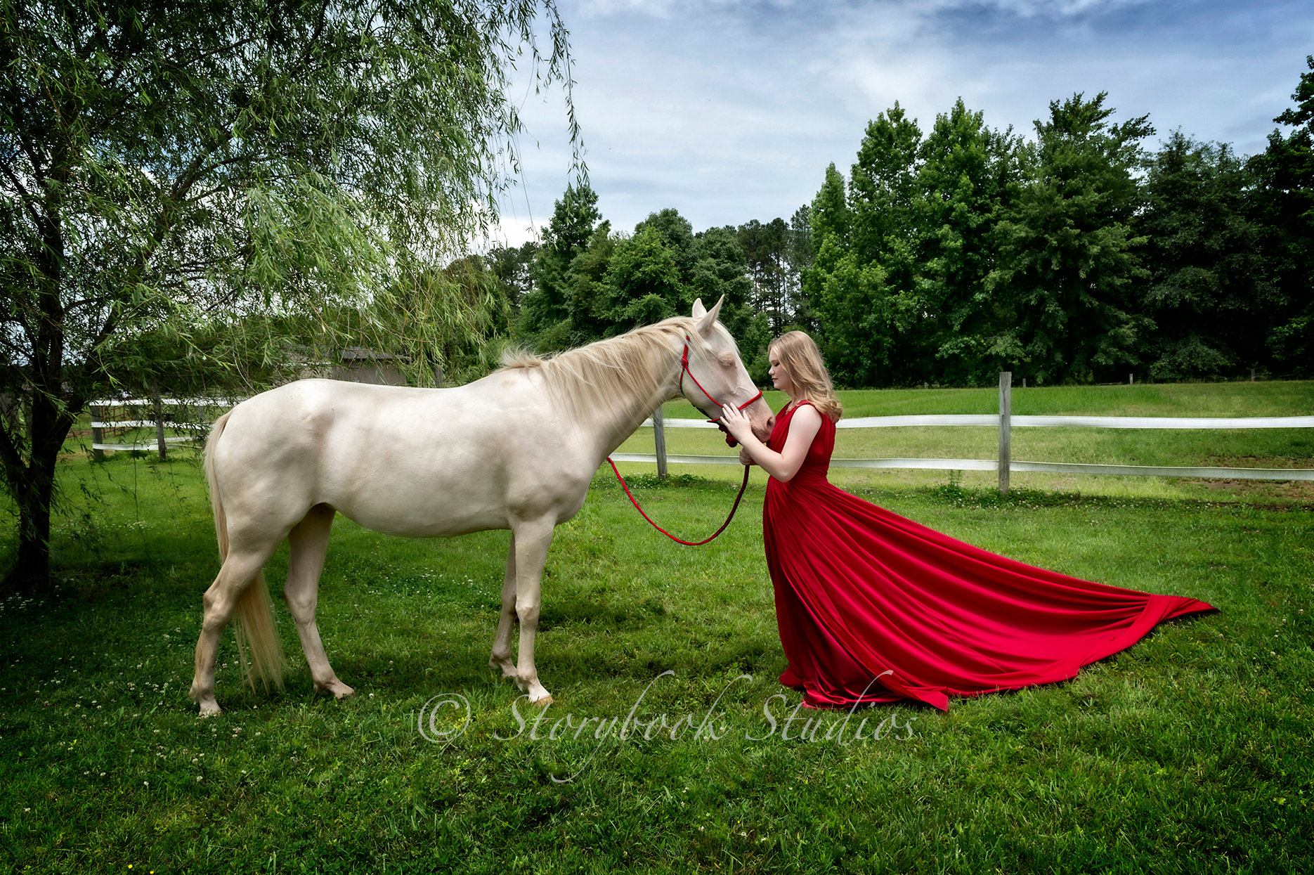 Fearless Spirit Gallery - Storybook Studios