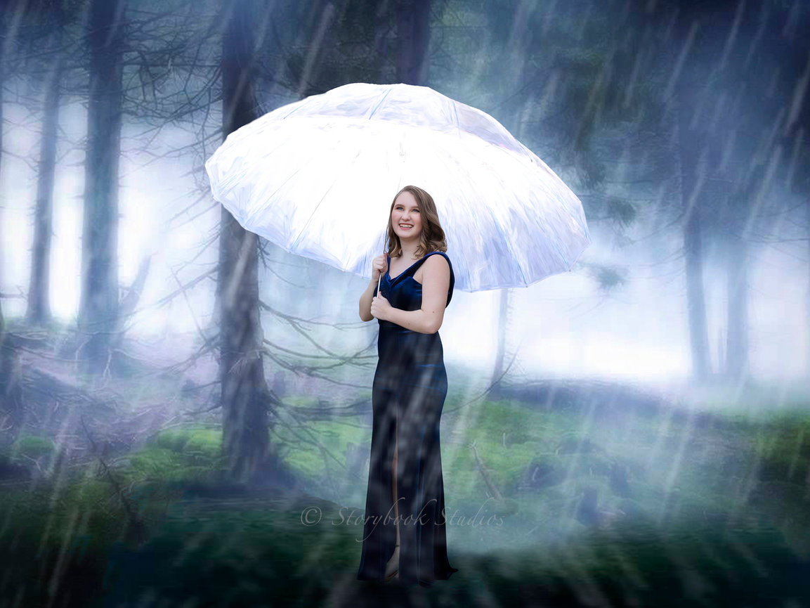 Fearless Spirit Gallery - Storybook Studios