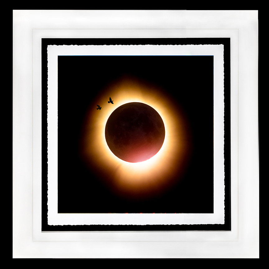 2024 Full Eclipse With Birds - Joe McNemar Photographer