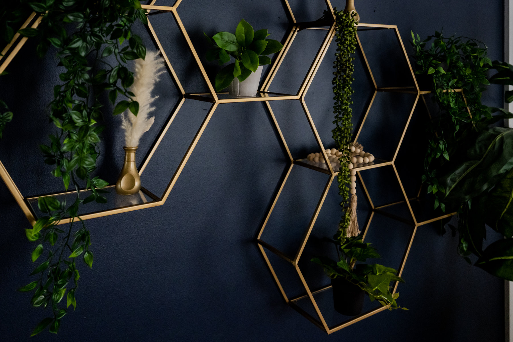 Vintage & Rustic Photo Studio Rentals in Suffolk, VA | The Studio ...