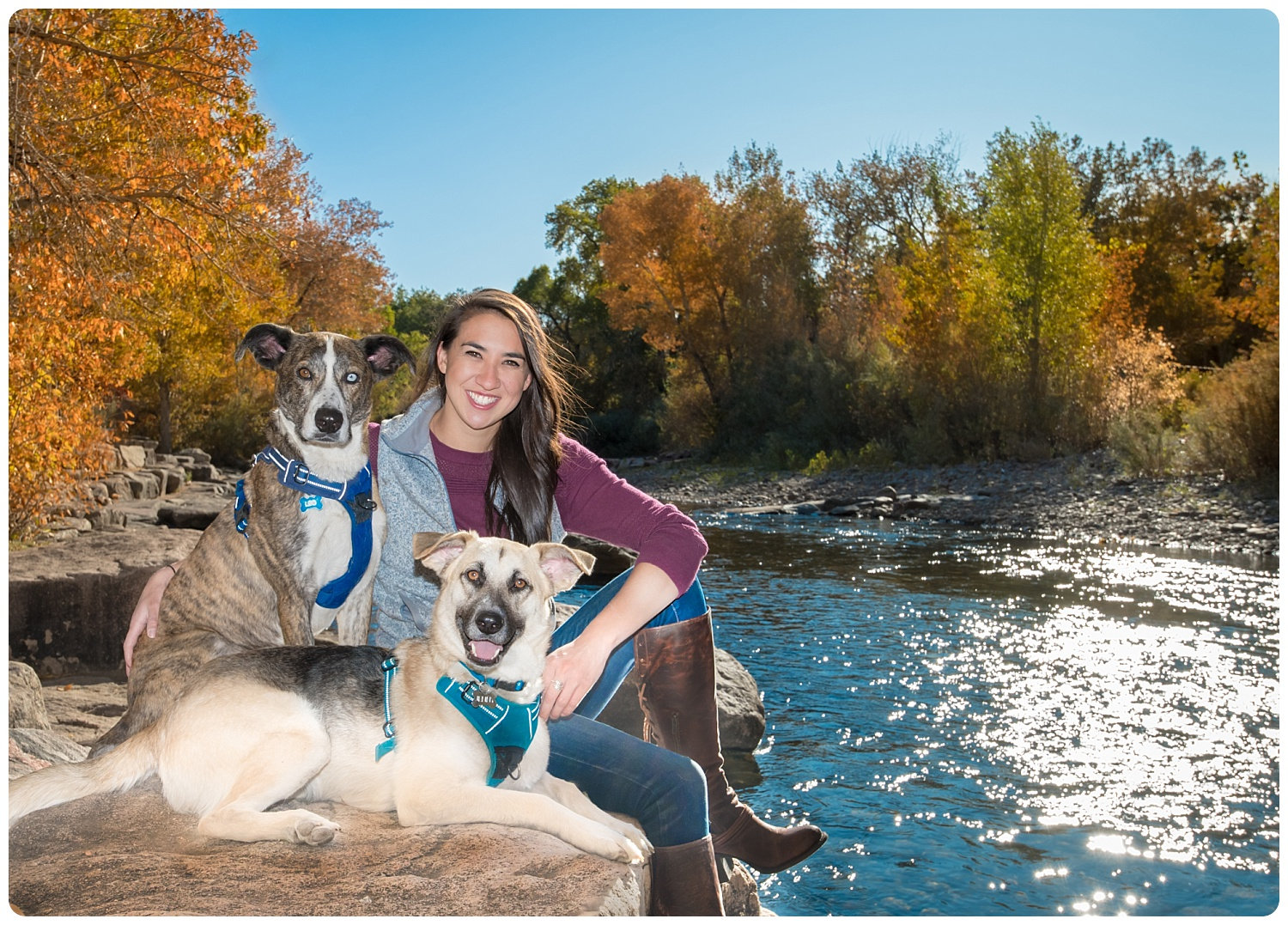 What's a Pop Up? - Furever Photography