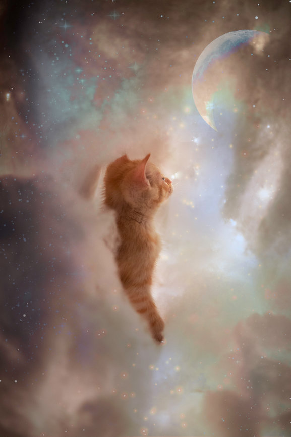 Unique Photo Session Ideas You’ll Love - Freeland Photography LLC