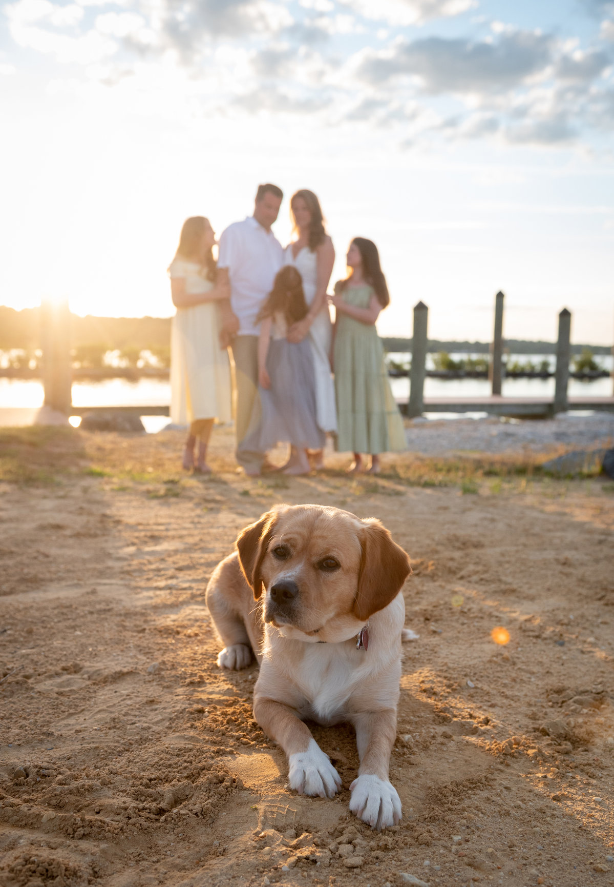 Family Portraits - Freeland Photography LLC