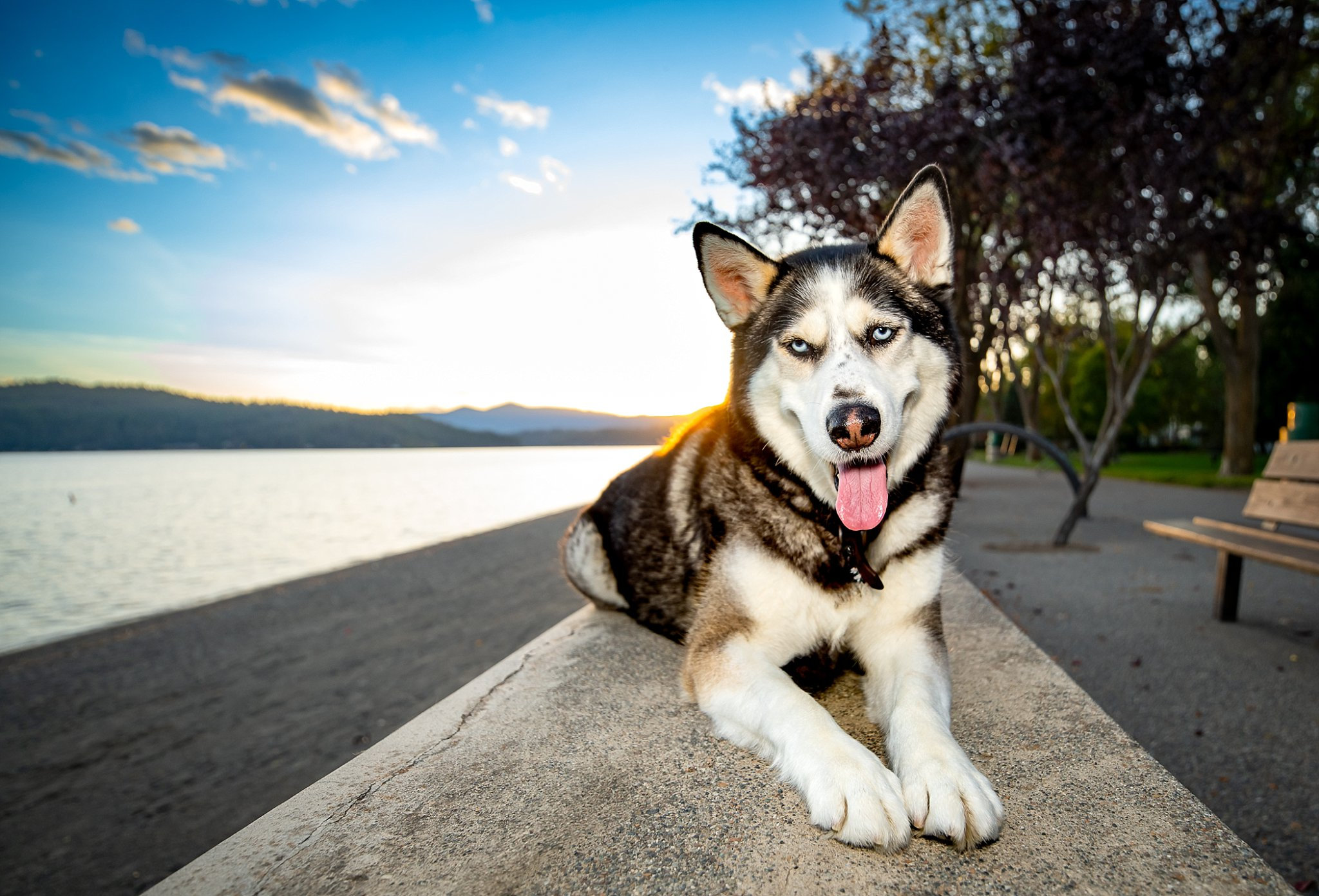 Lake Coeur d'Alene-Independance Point - Furever Photography