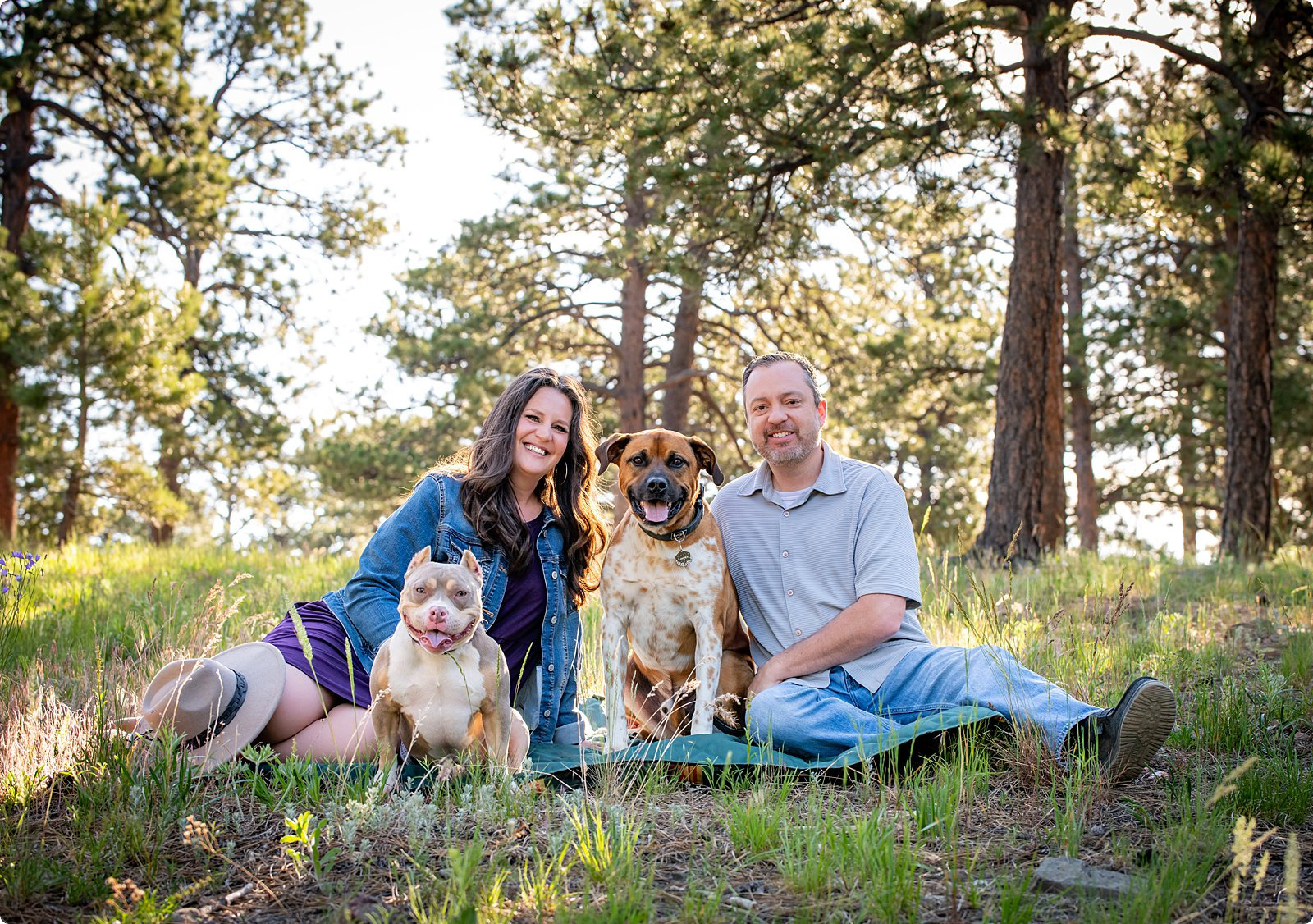 A Scenic Adventure with Cloe the Tripod Pittie Princess and Her Shy ...