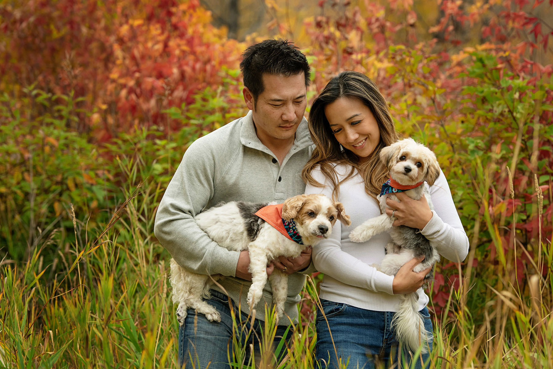 What to wear? - Critter Collections by JSP Edmonton Pet Photographer