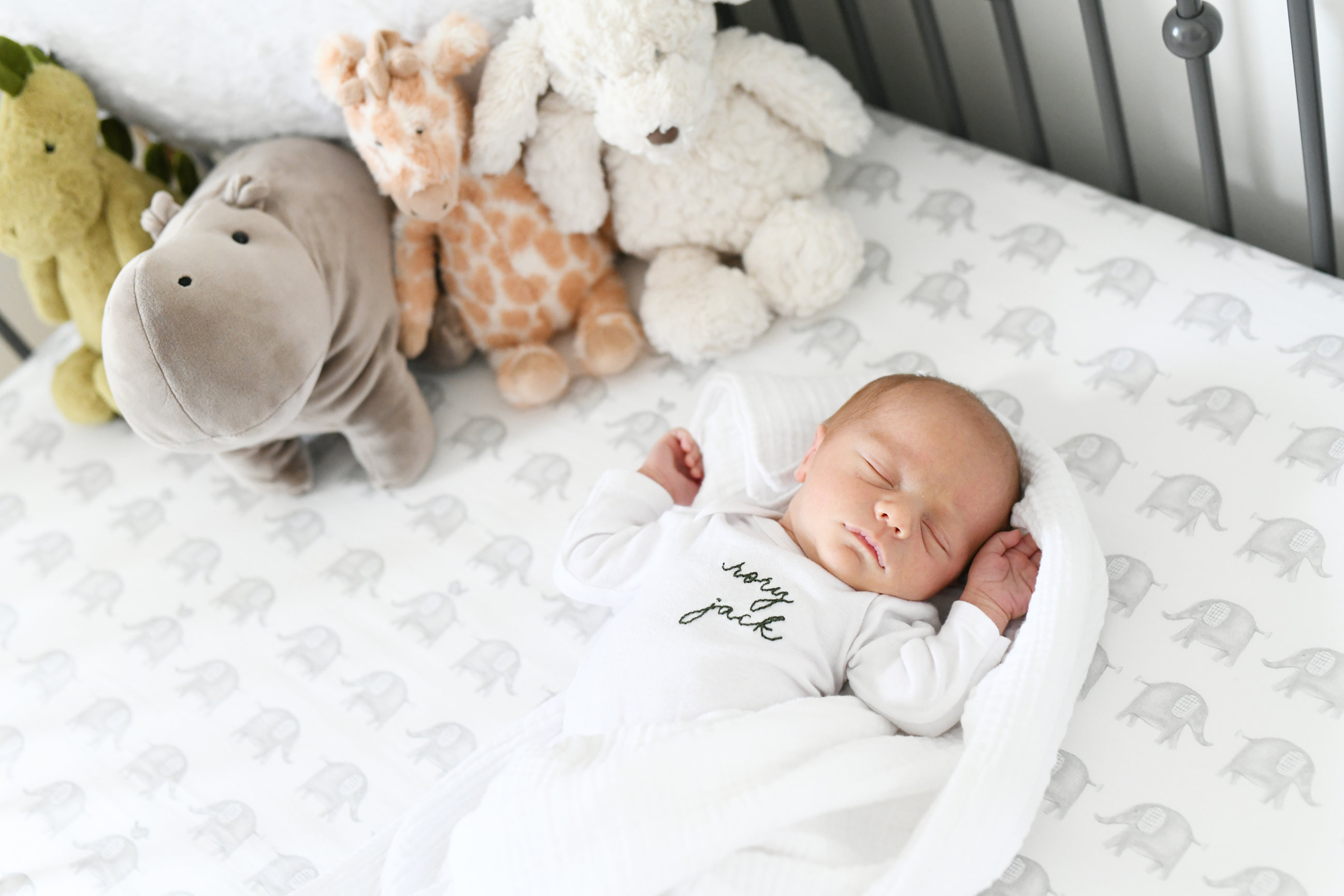 Rory Jack - Kelly Nardone Photography