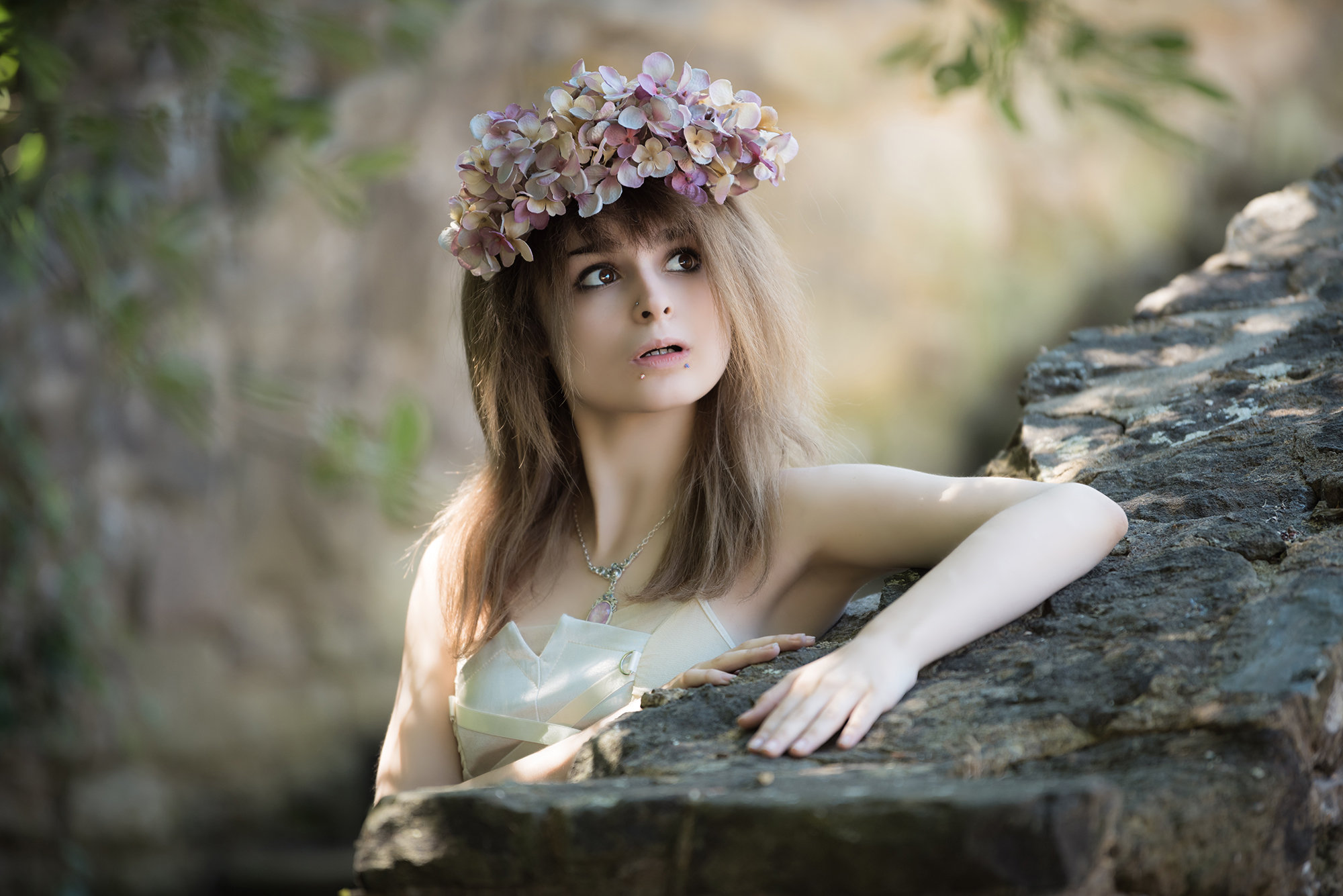 HOME | Susan Phelps Fine Art Flower PHOTOGRAPHY | WOKINGHAM