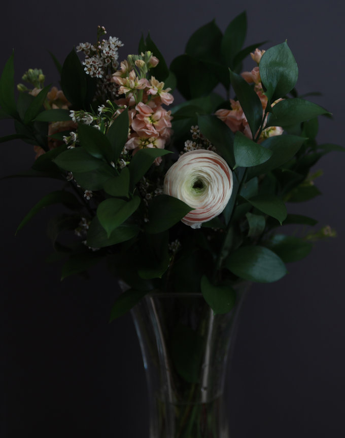 SEE THE DIFFERENCE - Crystal Wiggins Photography