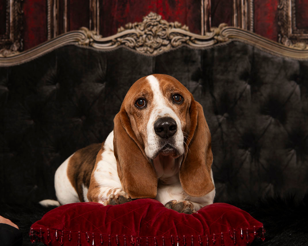 PROOF GALLERY - Audra Mitchell Photography