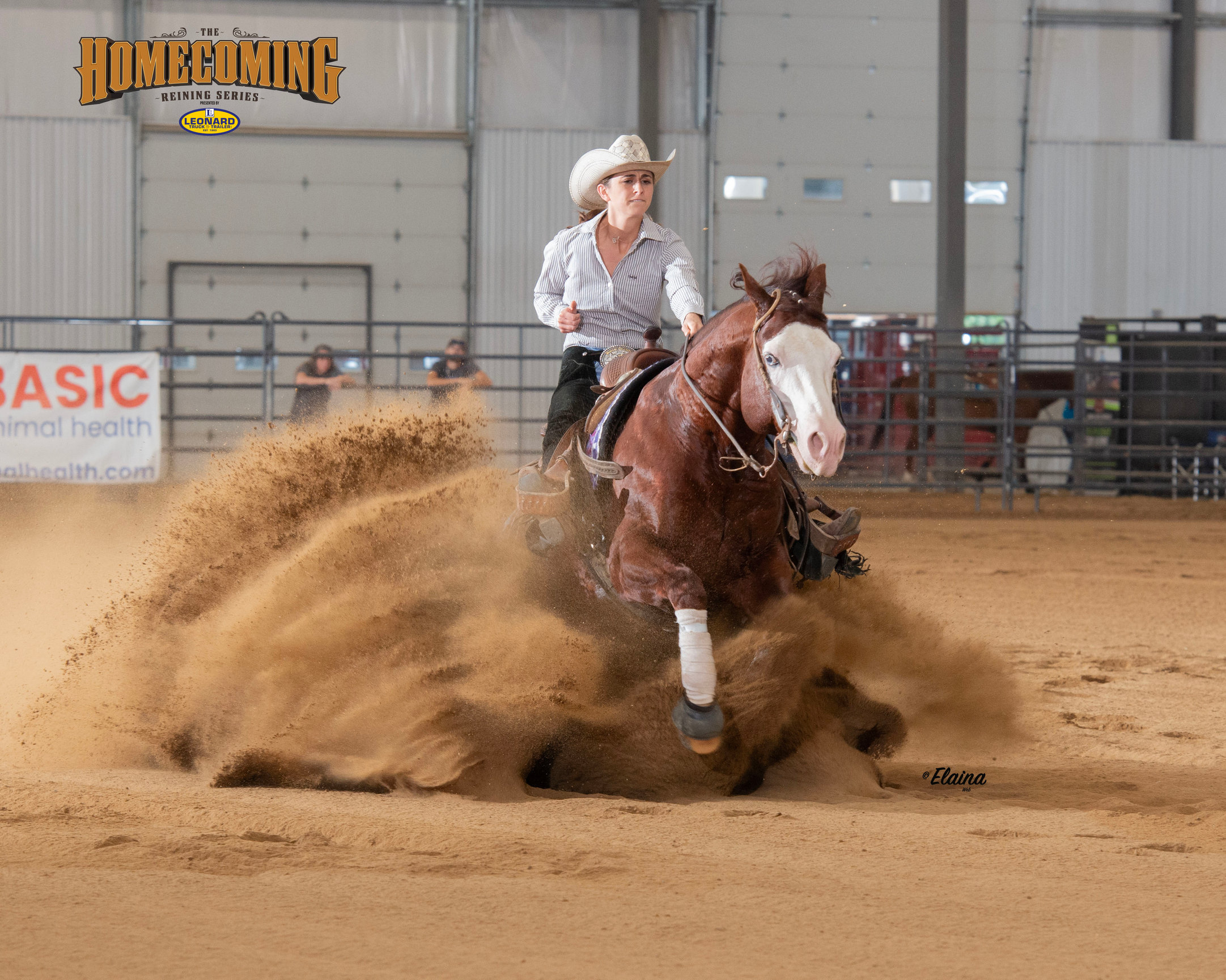 Wedding, Senior & Horse Show Photographer in Butler & Pittsburgh PA