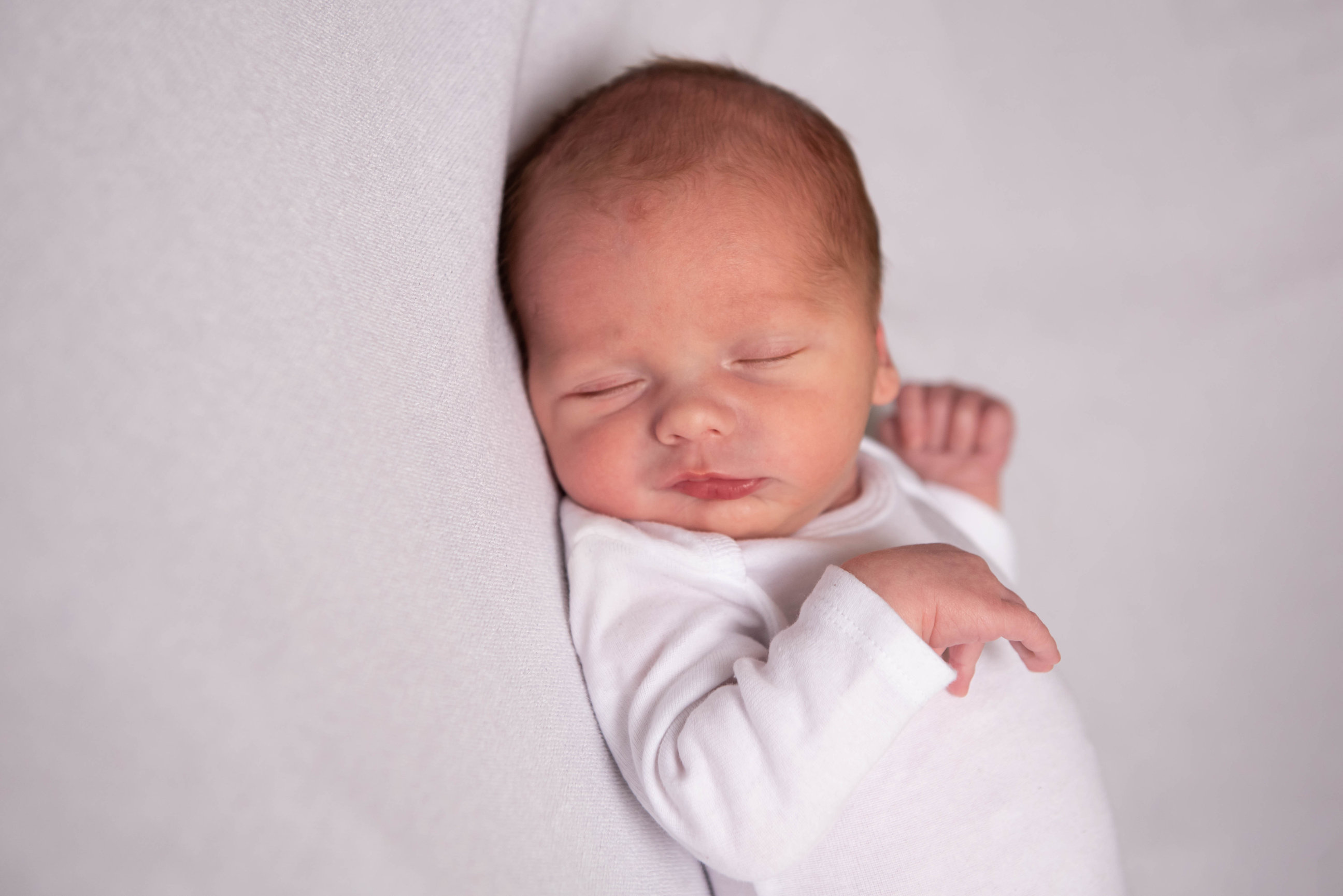 Newborn Neighbors - Gallery by Laura Photography
