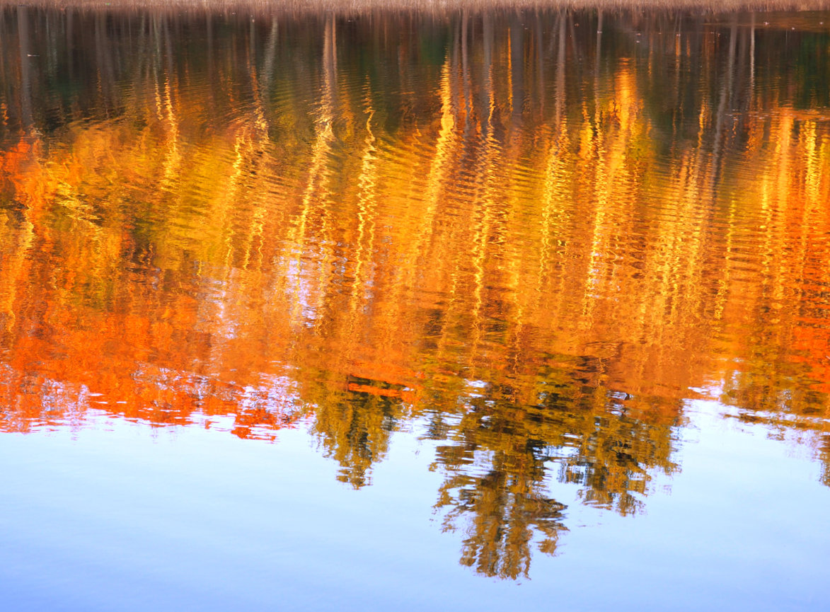 Reflections & Abstract Photo Prints - Laura L Nunn