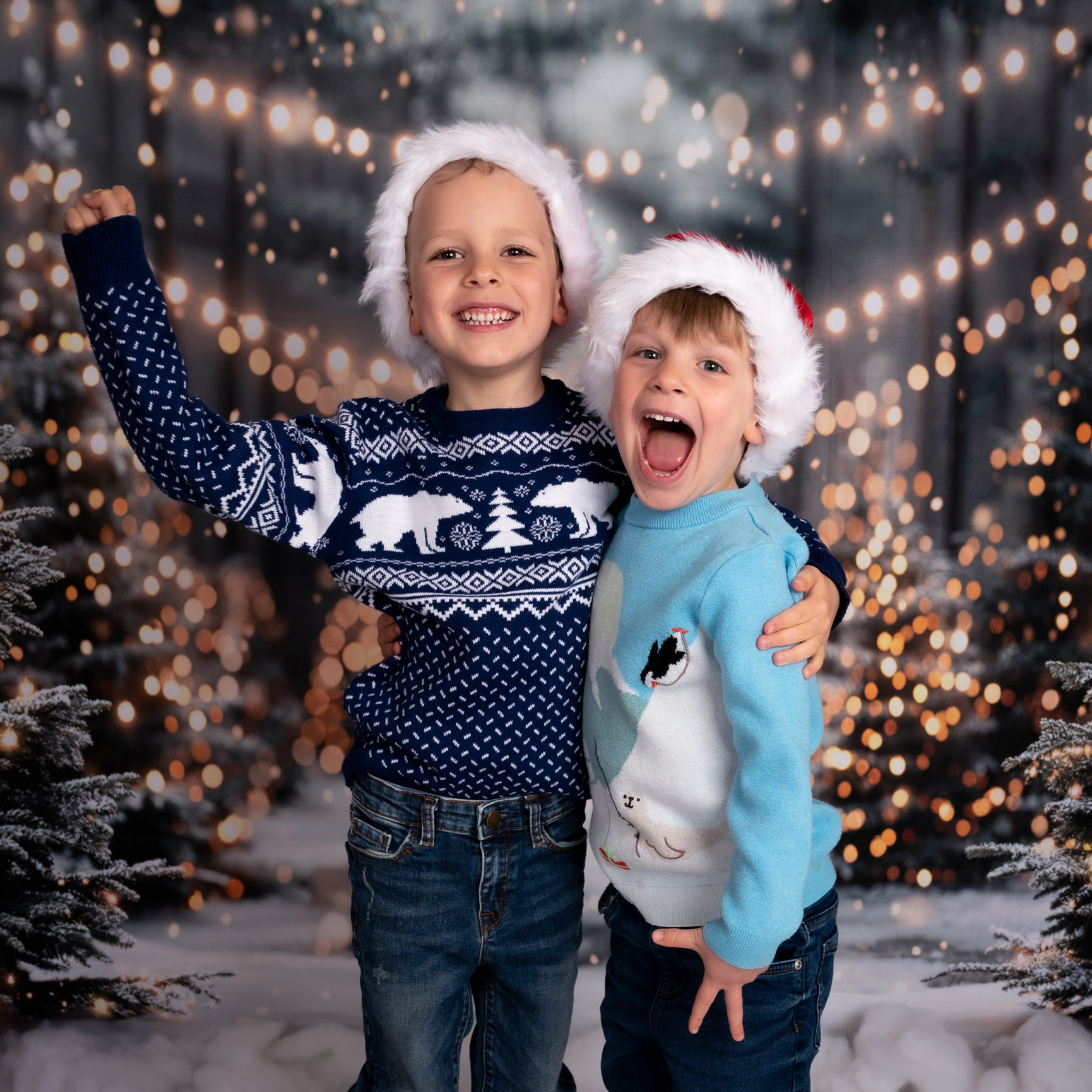 Christmas Photos - Red Robin Photography