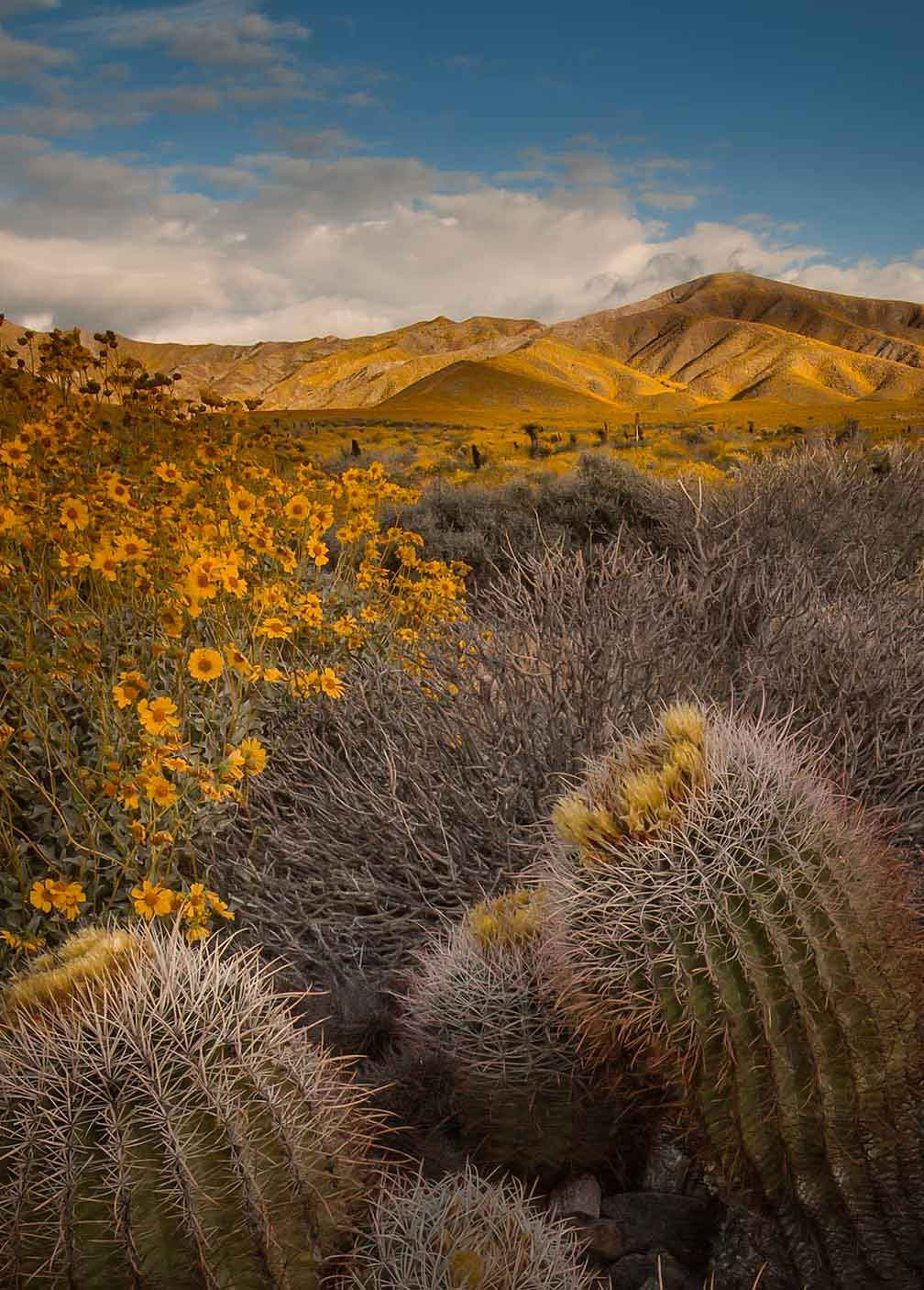 CREATING DEPTH - Rob Strain Fine Art Photography & Workshops