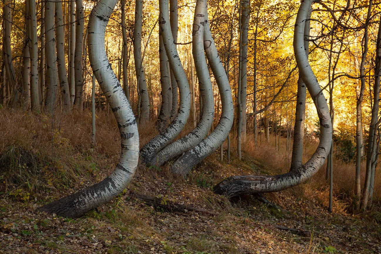 KEEP IT SIMPLE - Rob Strain Fine Art Photography & Workshops